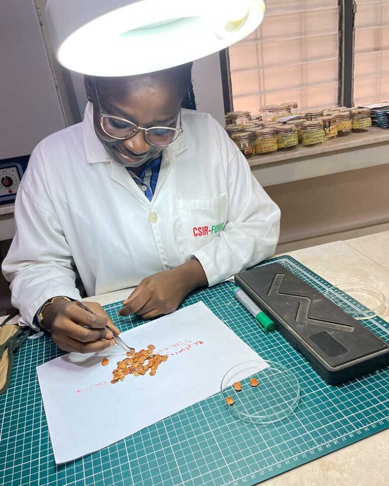 CSIR-FORIG – Official Website